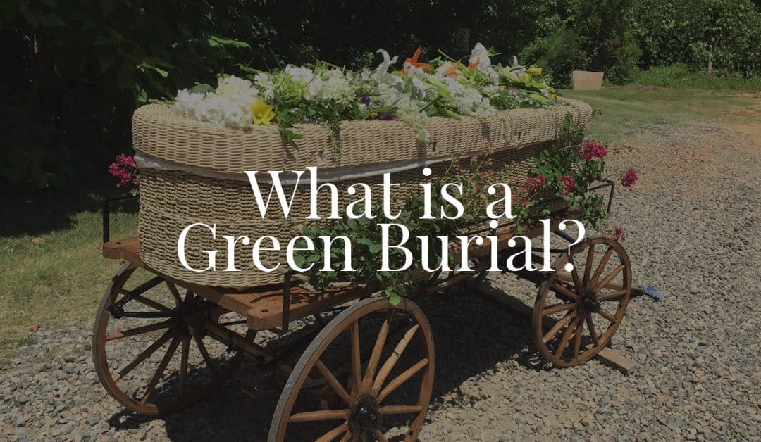 Green Burial in Singapore: Sustainable Burial Options in Singapore ...